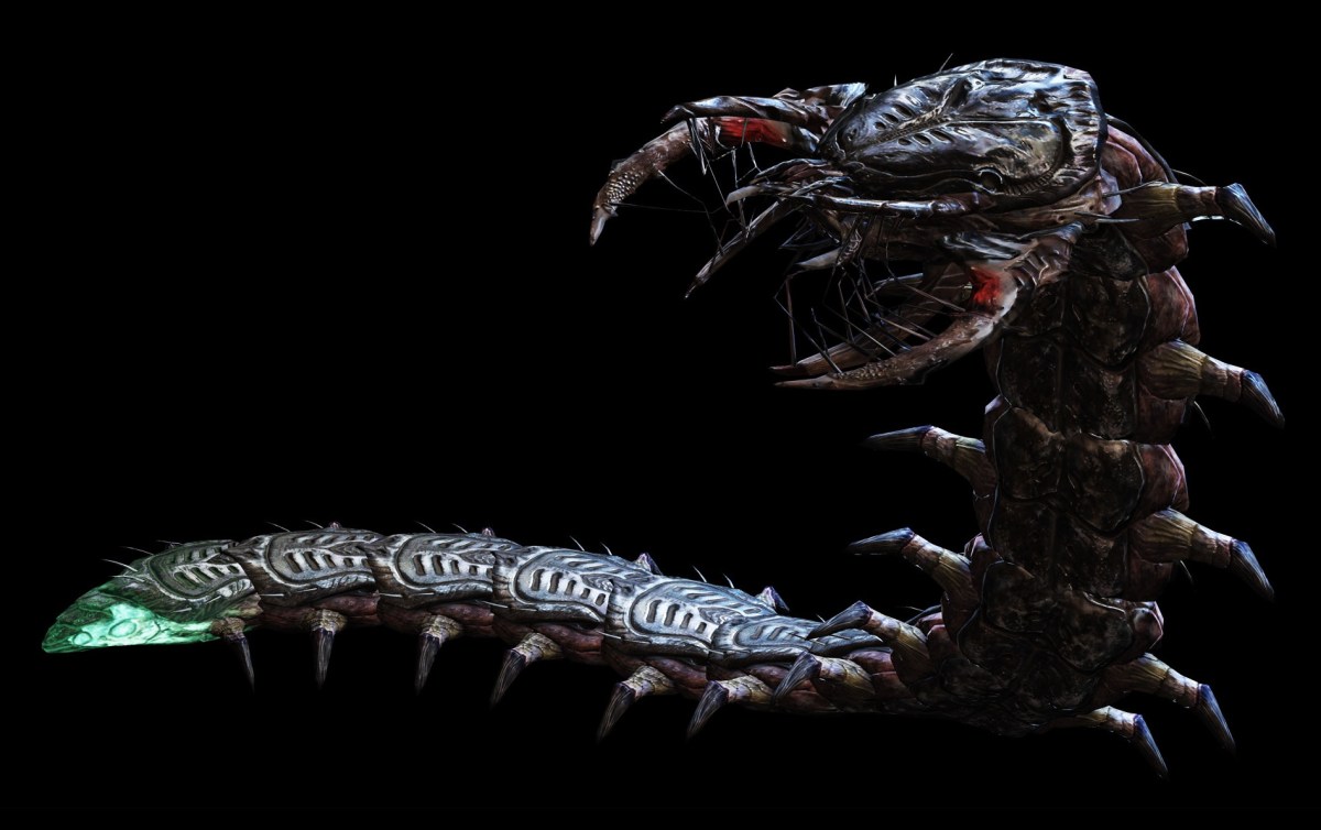 The biology of giant war centipedes – Journal of Geek Studies
