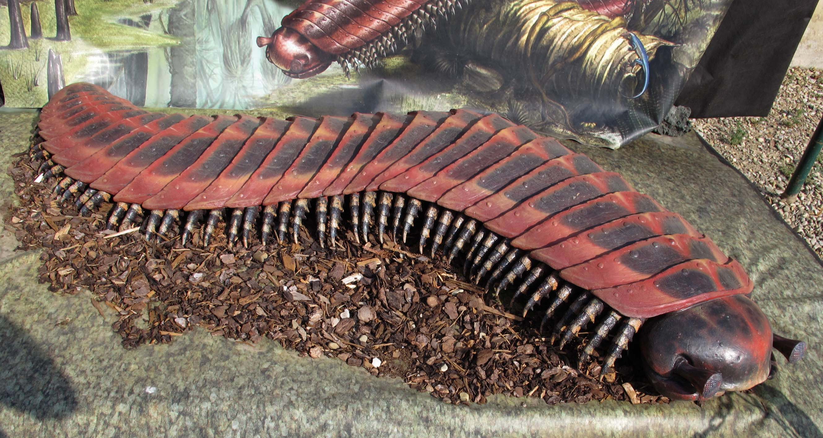 The biology of giant war centipedes – Journal of Geek Studies