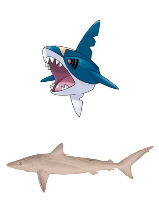 The ichthyological diversity of Pokémon – Journal of Geek Studies