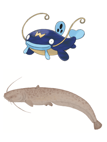 The ichthyological diversity of Pokémon – Journal of Geek Studies