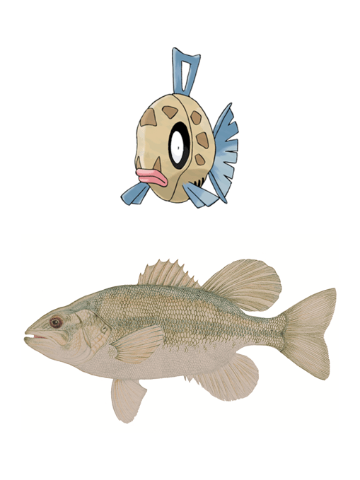 The ichthyological diversity of Pokémon – Journal of Geek Studies
