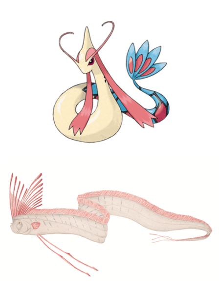 The ichthyological diversity of Pokémon – Journal of Geek Studies