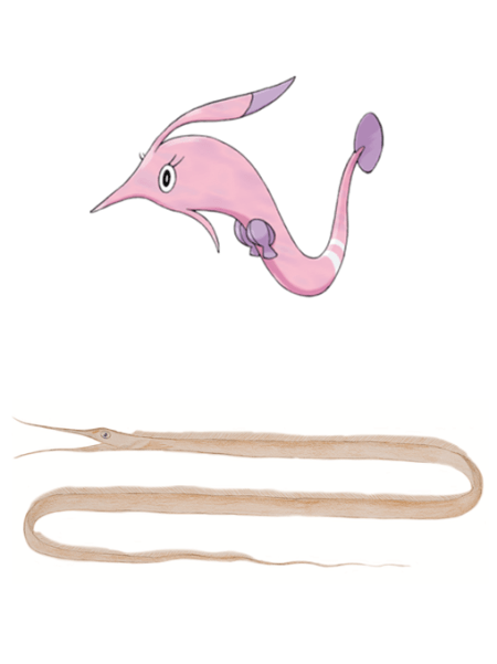 The ichthyological diversity of Pokémon – Journal of Geek Studies