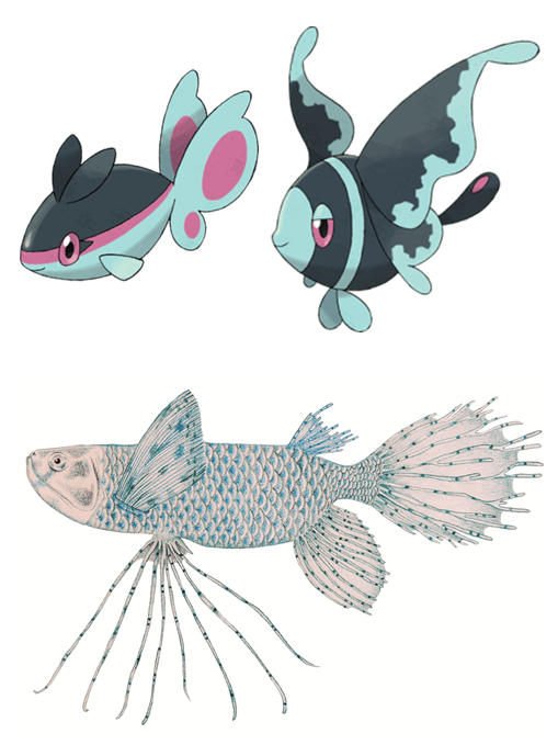 The ichthyological diversity of Pokémon – Journal of Geek Studies