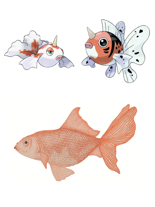The ichthyological diversity of Pokémon – Journal of Geek Studies