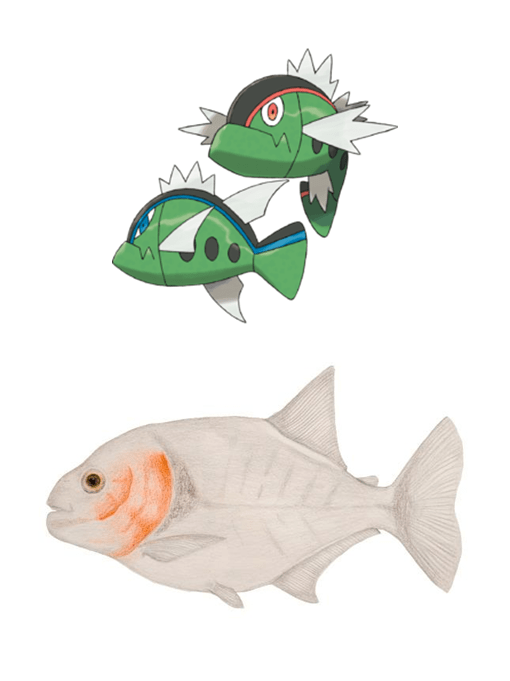 The ichthyological diversity of Pokémon – Journal of Geek Studies