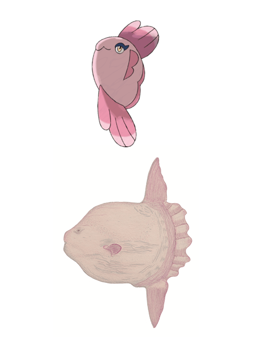 The ichthyological diversity of Pokémon – Journal of Geek Studies