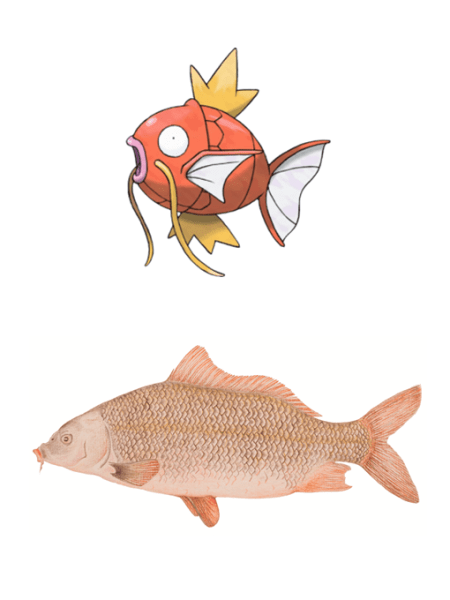 The ichthyological diversity of Pokémon – Journal of Geek Studies