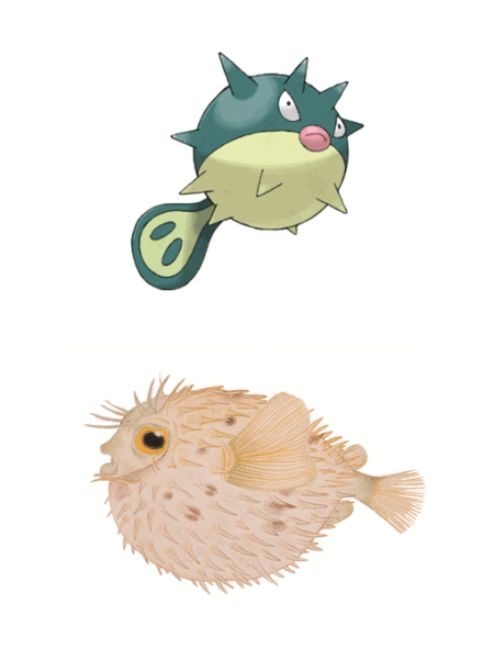 The ichthyological diversity of Pokémon – Journal of Geek Studies