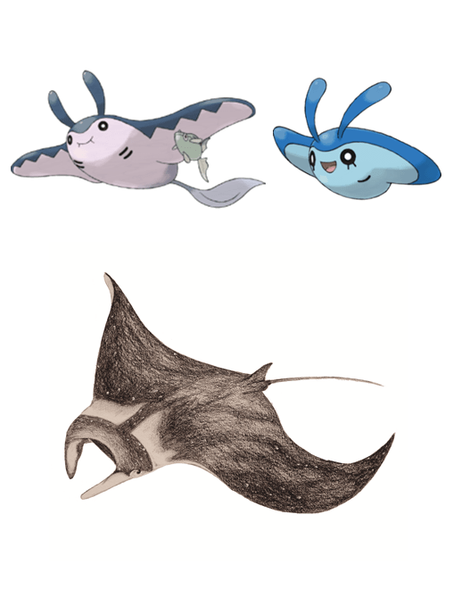 The ichthyological diversity of Pokémon – Journal of Geek Studies