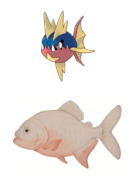 The ichthyological diversity of Pokémon – Journal of Geek Studies