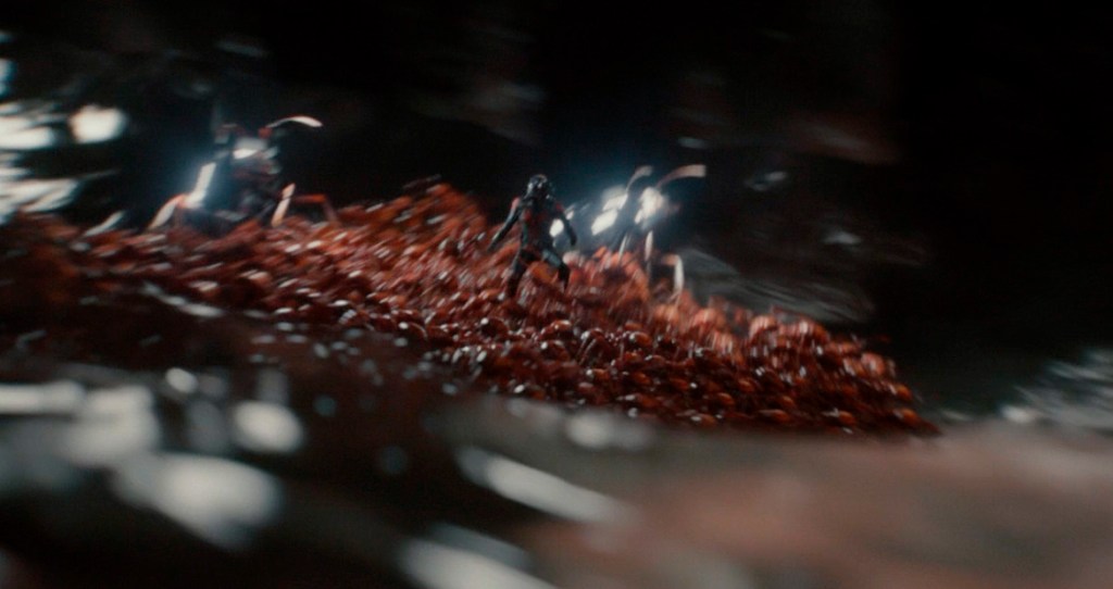 Ants in the Ant-Man movie, with biological notes – Journal of Geek Studies