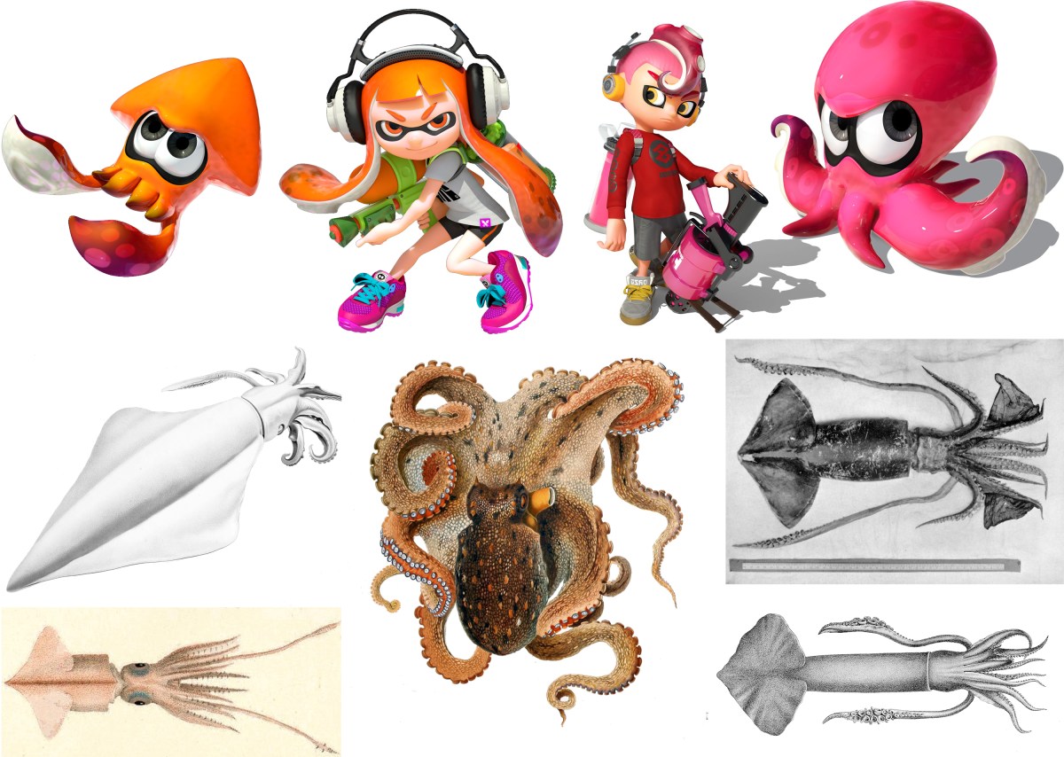 You’re an oegopsid now: the phylogeny of squid kids from the future ...