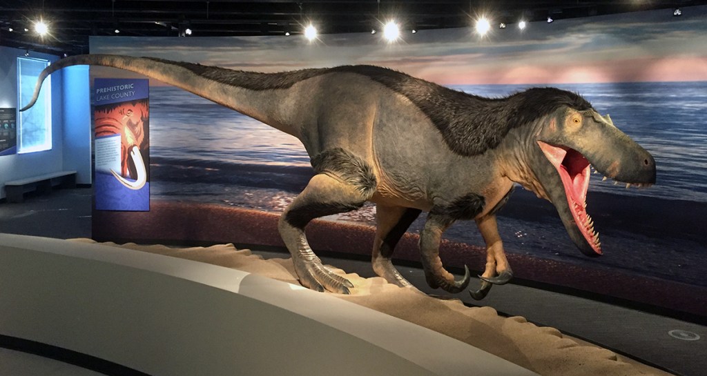 A paleontological outlook on the Super Mario Bros. movie – Journal of ...