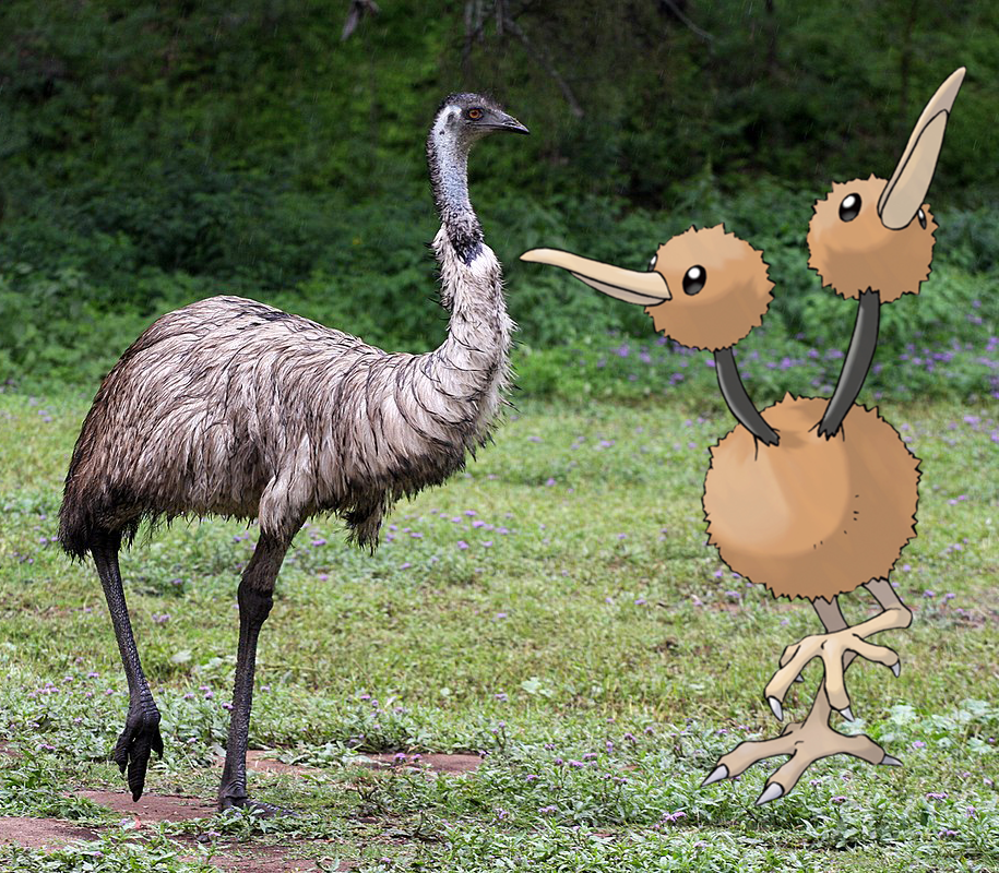 What’s your favourite Pokémon? Pocket monster popularity reflects ...