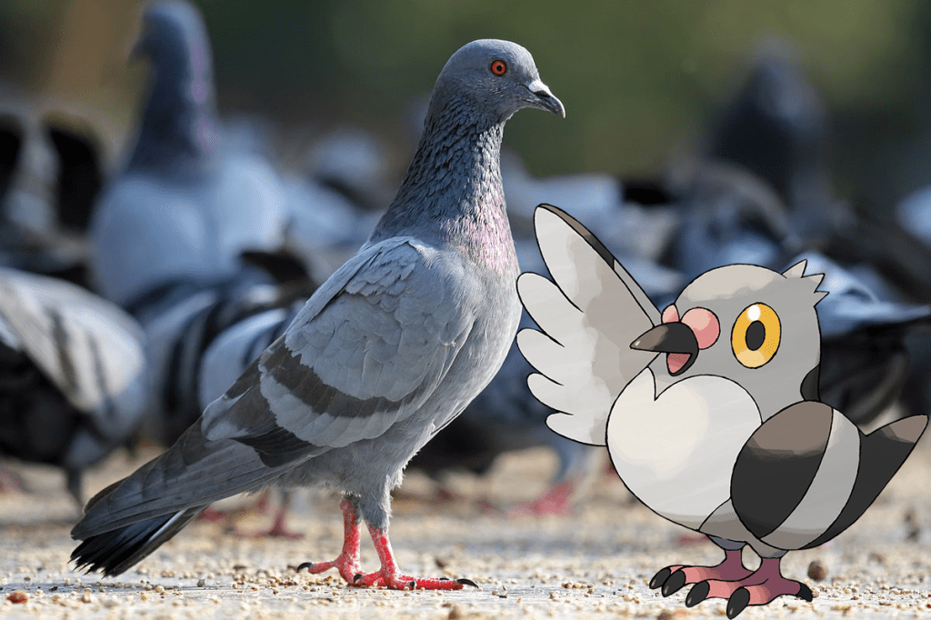 What’s your favourite Pokémon? Pocket monster popularity reflects ...