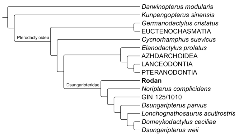 The One Born of Fire: a pterosaurological analysis of Rodan – Journal ...