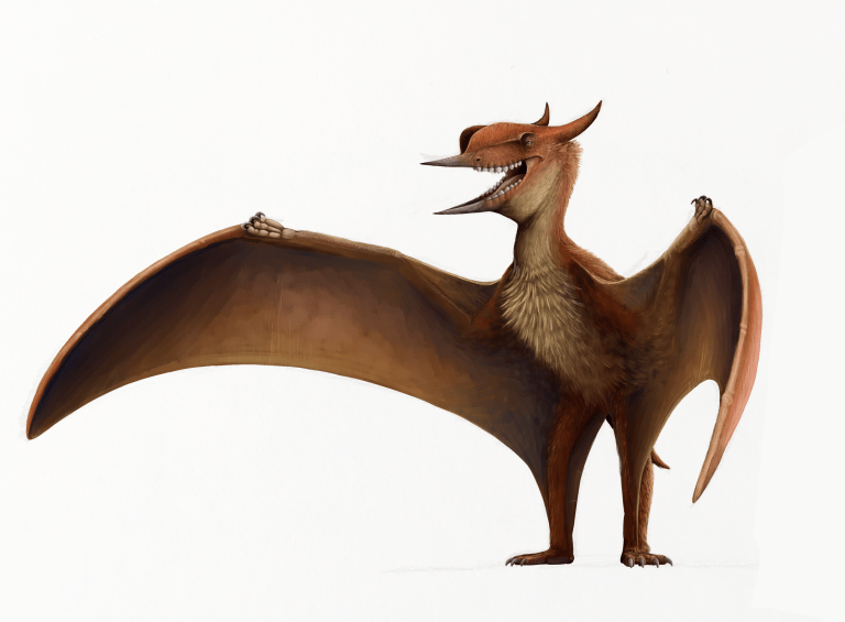 The One Born of Fire: a pterosaurological analysis of Rodan – Journal ...