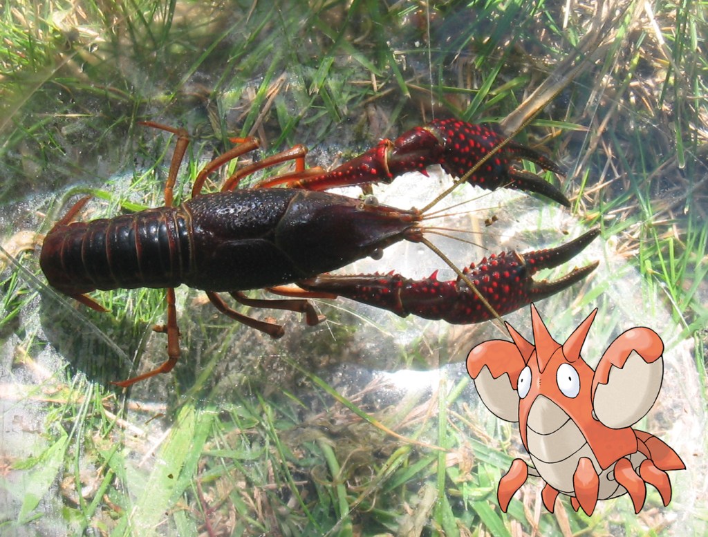 Pokécrustacea: the crustacean-inspired Pokémon – Journal of Geek Studies