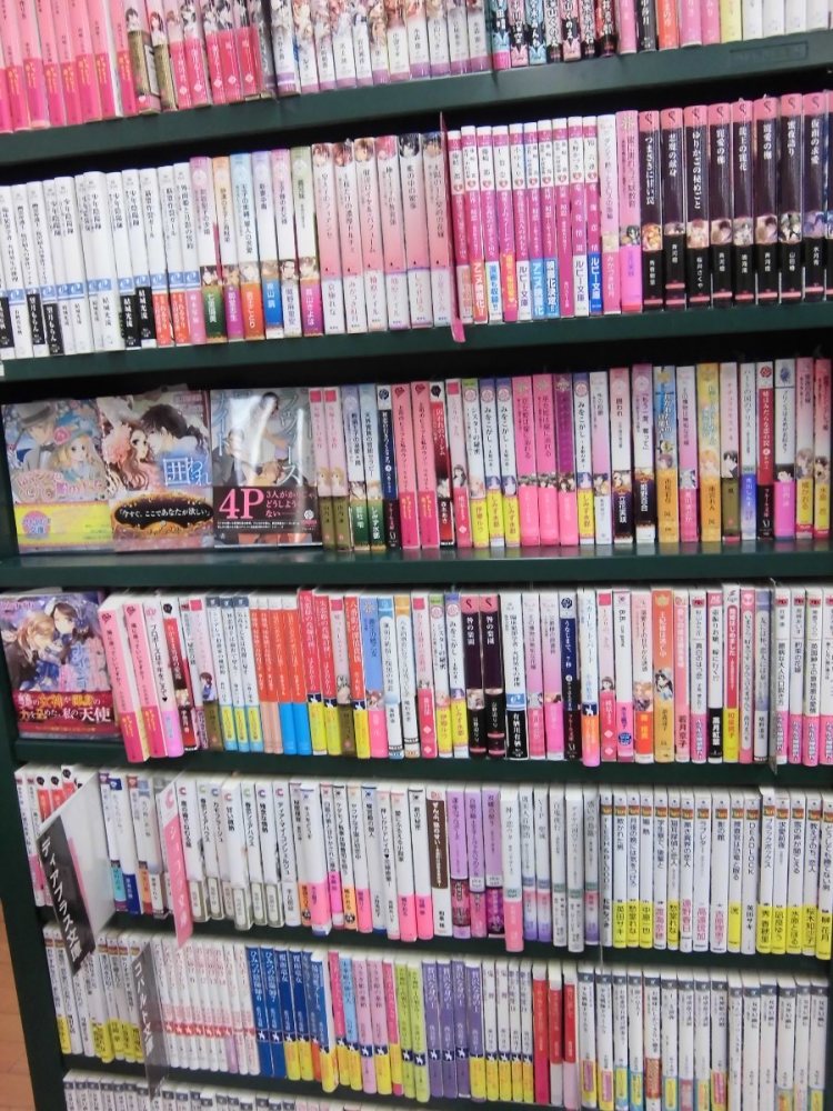 My light novel’s title can’t be this short! The evolution of light ...