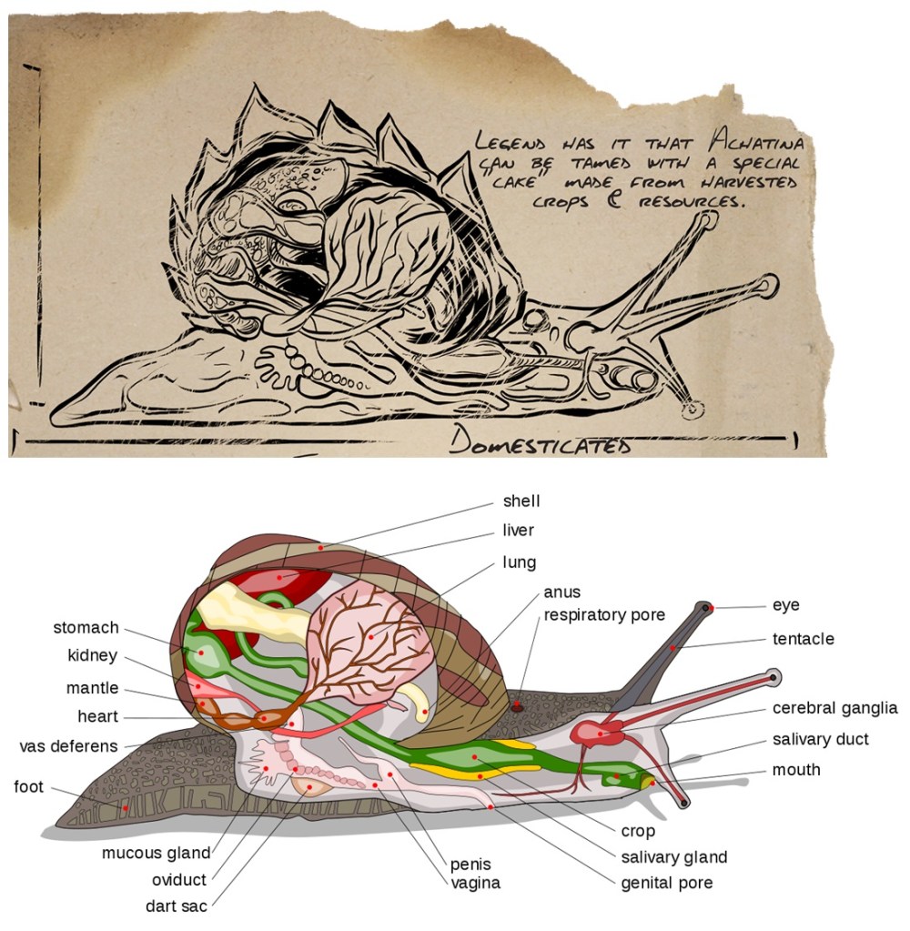The giant snails of ARK: Survival Evolved – Journal of Geek Studies