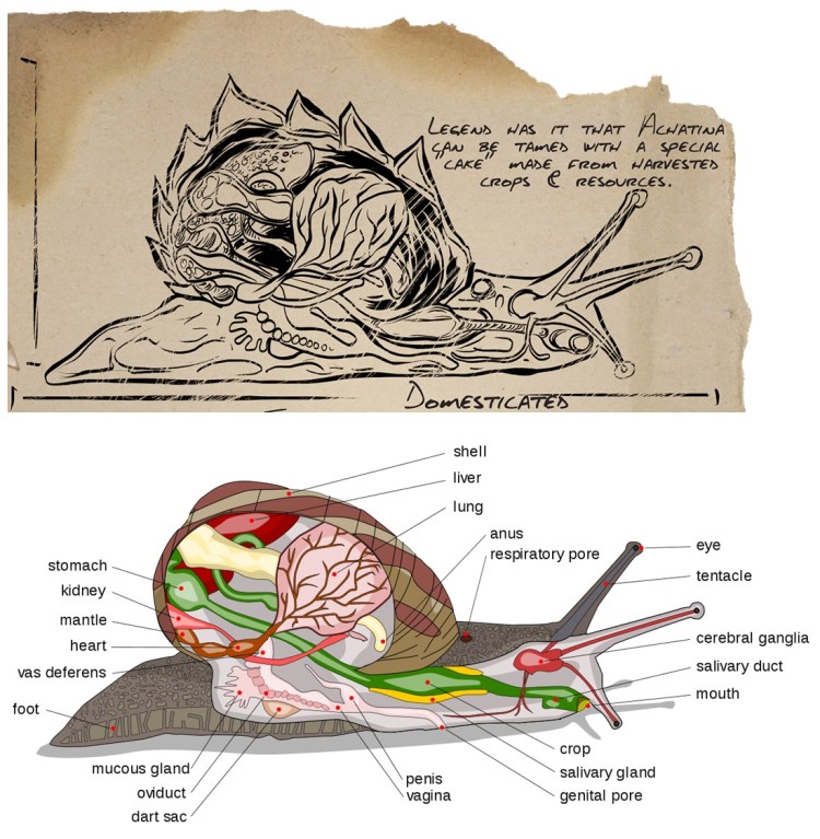 The giant snails of ARK: Survival Evolved – Journal of Geek Studies