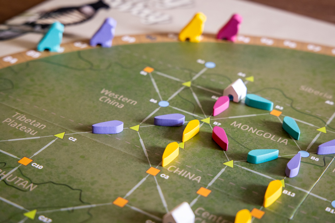 Fly-A-Way: a board game to save migratory birds – Journal of Geek Studies