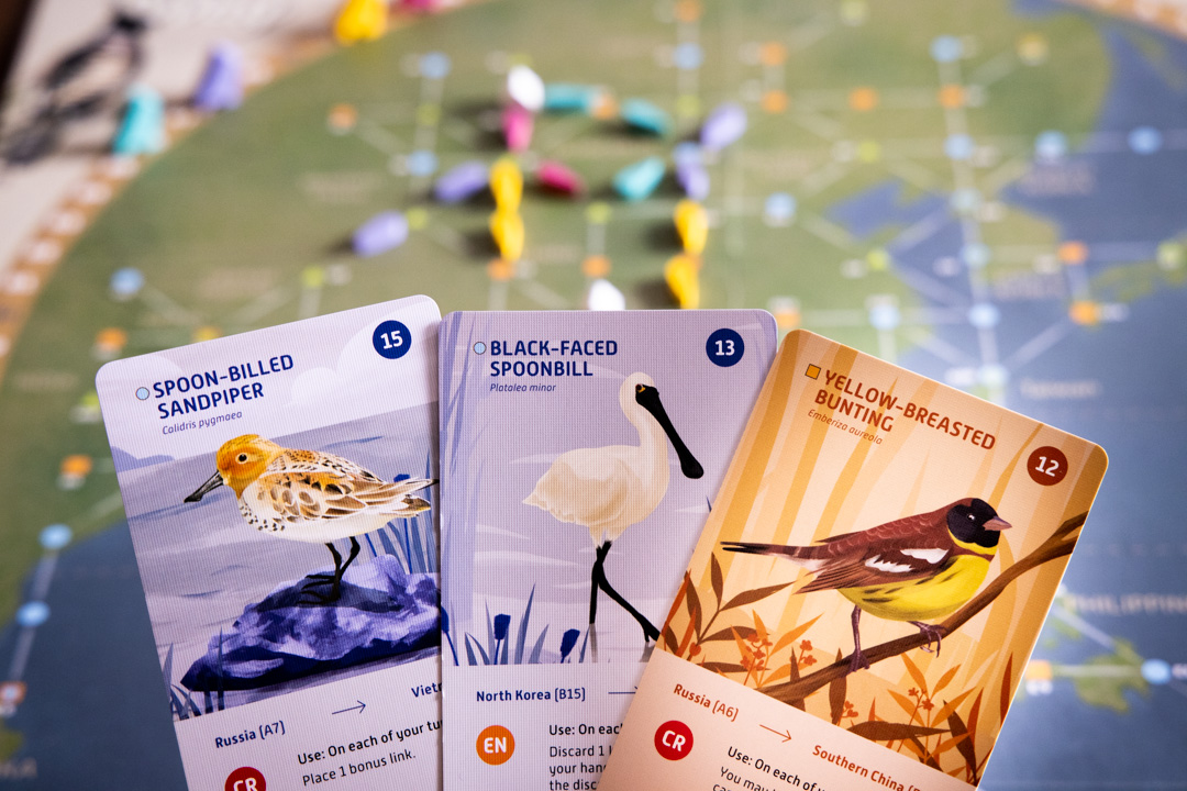 Fly-A-Way: a board game to save migratory birds – Journal of Geek Studies