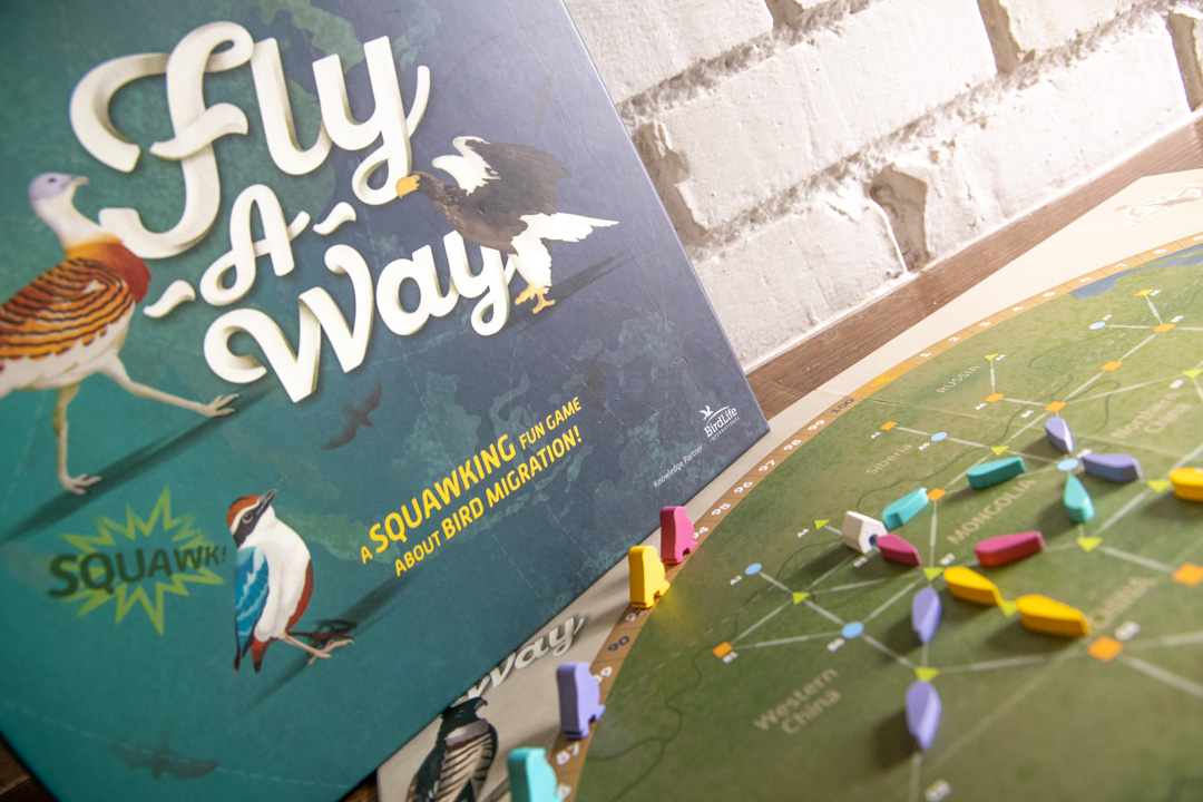 Fly-A-Way: a board game to save migratory birds – Journal of Geek Studies