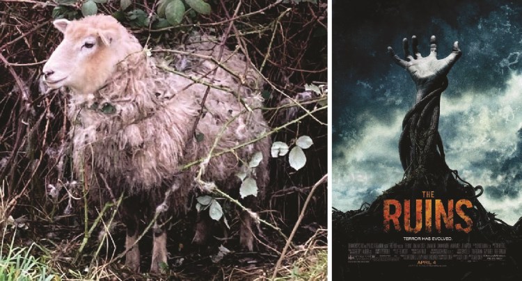 Killer plants and fungi in horror cinema – Journal of Geek Studies