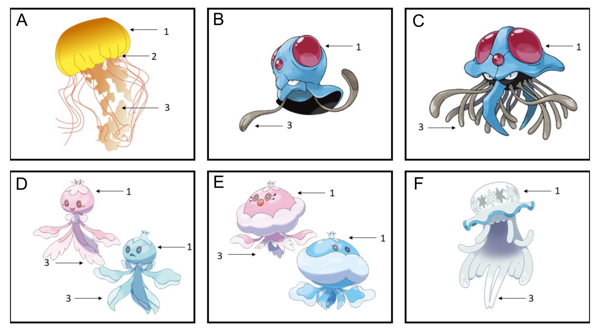From reality to fiction: cnidarians that inspire the Pokémon world ...