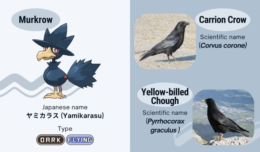 Dark wings, bright insights: a comprehensive analysis of corvid species ...