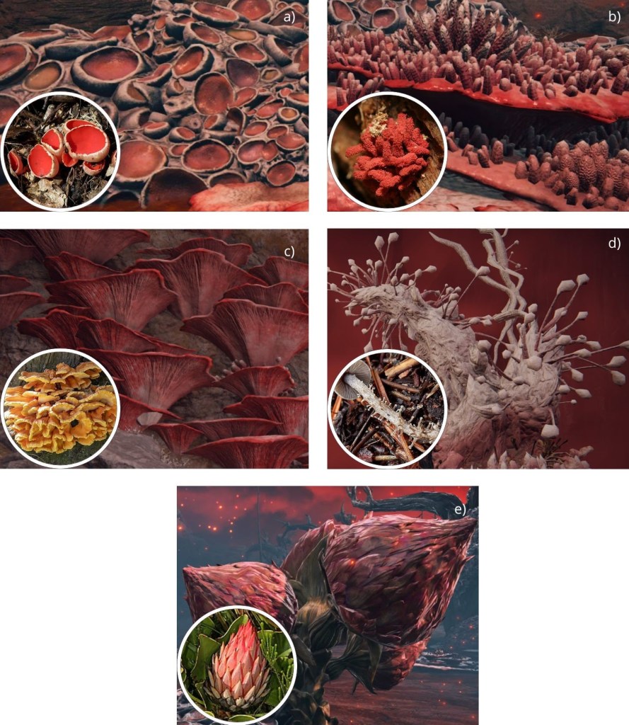 Scarlet Rot: a biological exploration of Elden Ring’s decaying disease ...