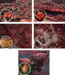Scarlet Rot: a biological exploration of Elden Ring’s decaying disease ...