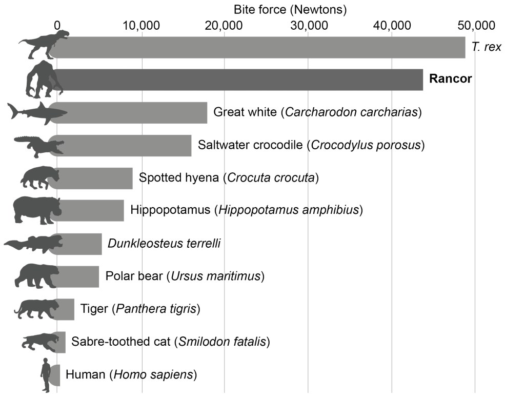 Is a bone a viable weapon when combating a Rancor? Estimating the bite ...